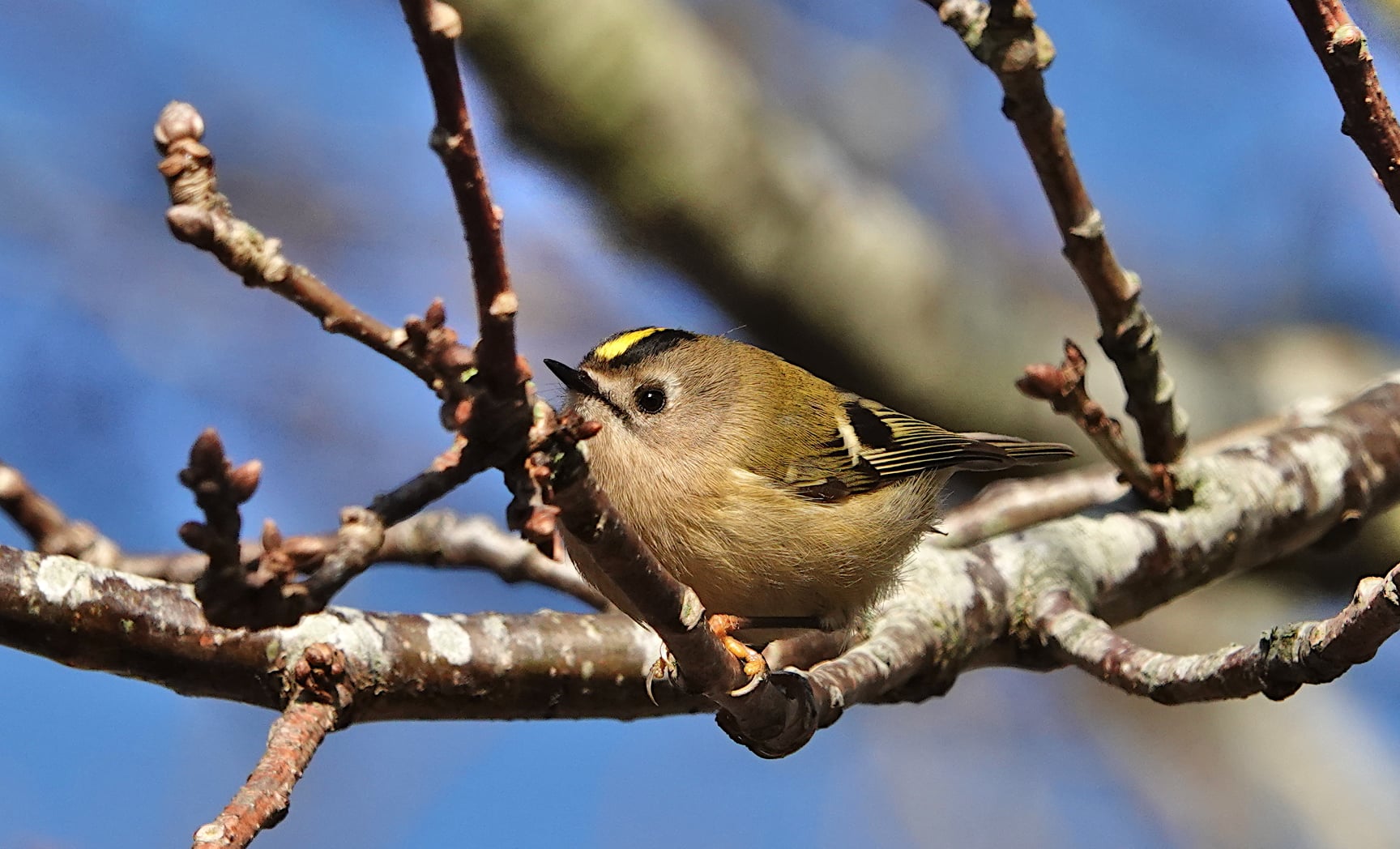 EXCLUSIVE: Petition to prevent new hospital reaches one thousand ...