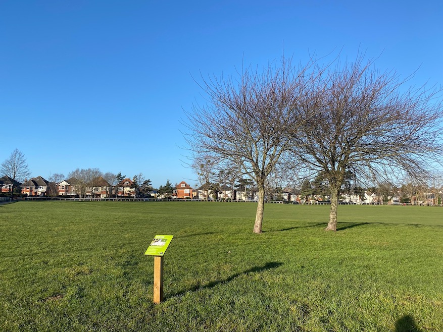 Nature improvements to Winton Recreation Ground are ongoing