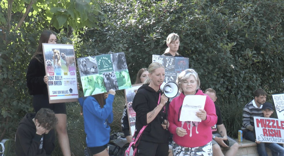 Bournemouth XL Bully owners fight back: “Don’t bully our breed”