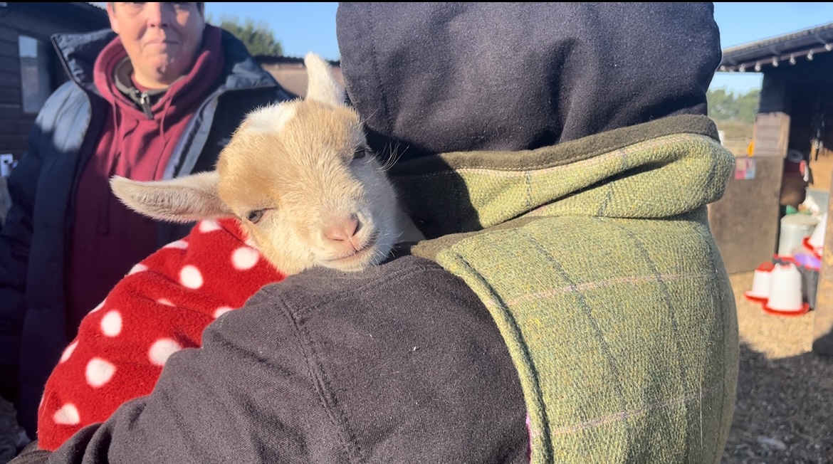 Open farm caters to everyone with therapeutic sessions