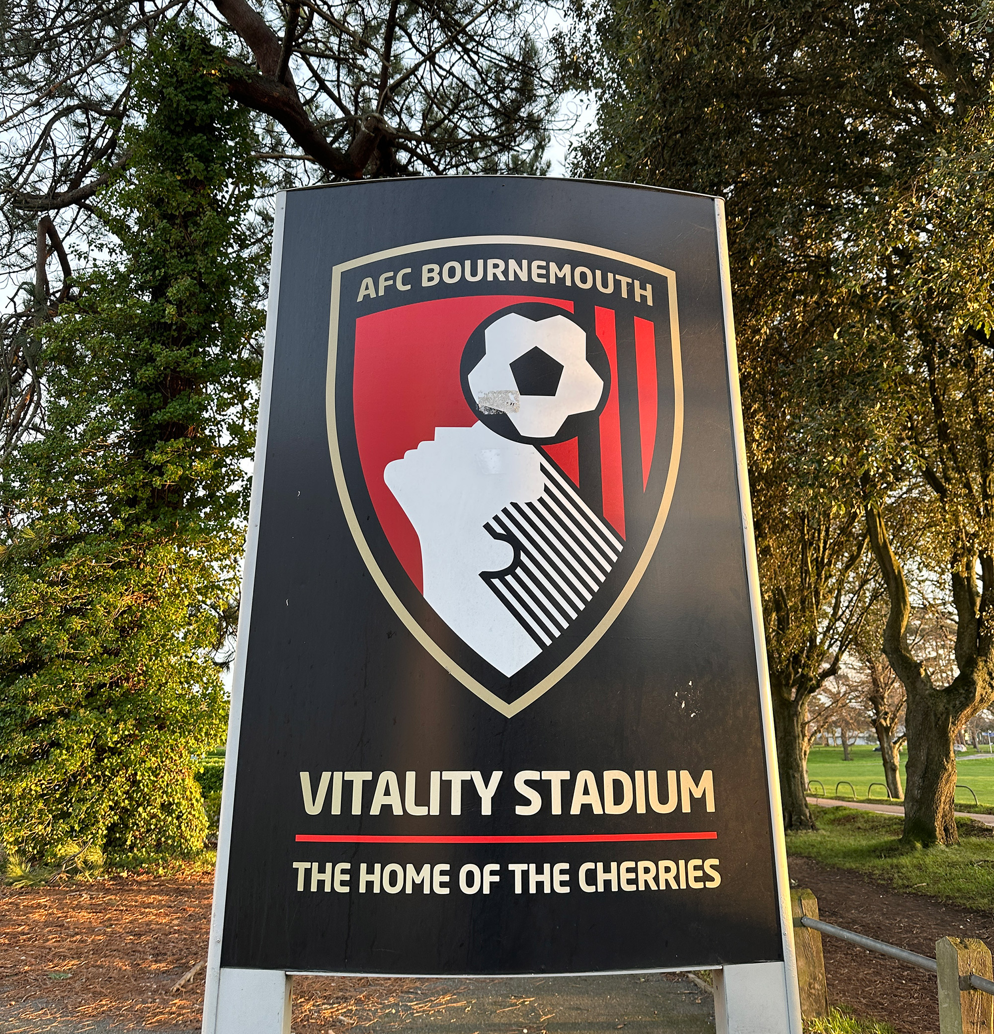 Game management causing problems for AFC Bournemouth